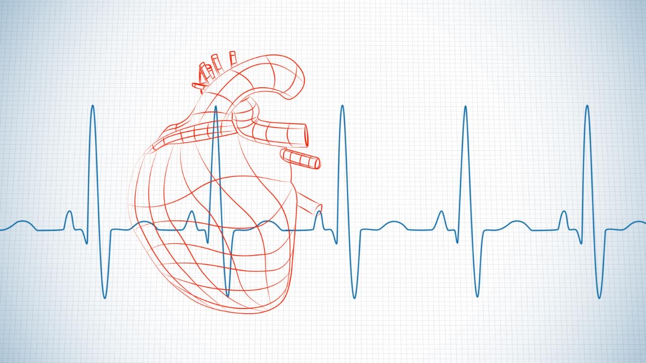 Berapa Detak Jantung Normal? Ini Cara Menghitungnya!