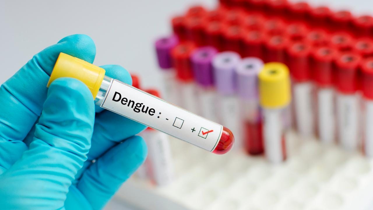 7 Gejala DBD Pada Anak - Diagnosis & Pengobatannya